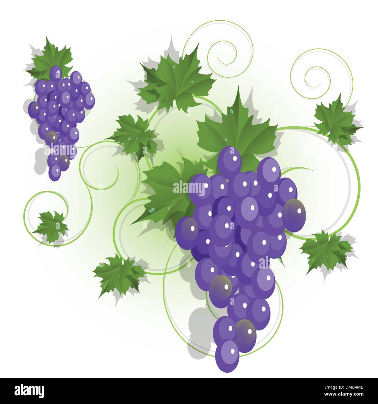 Grape fruit and vegetable garden Stock Vector Images - Alamy