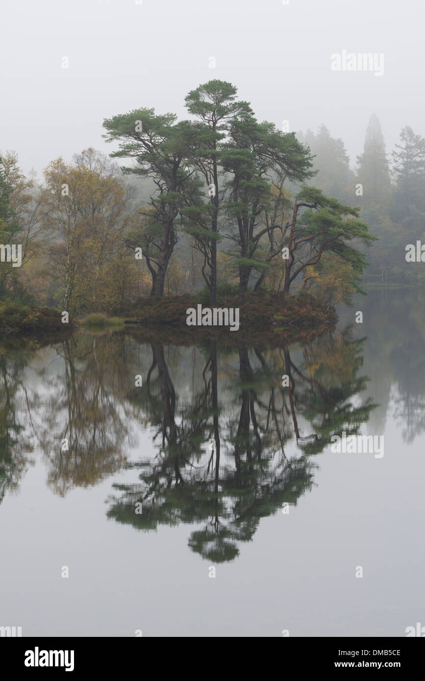 Misty morning reflections on an autumn morning at Tarn Hows, Lake ...