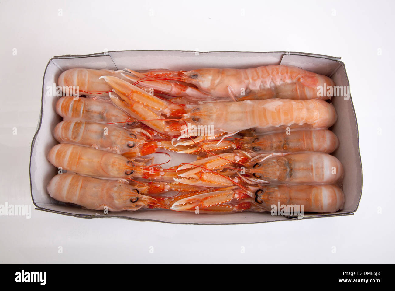 Frozen fish products laid on ice to be showcased for consumption ...