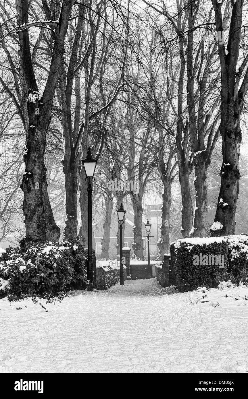 B&W photo showing a snow filled alleyway lined with bare trees on a ...