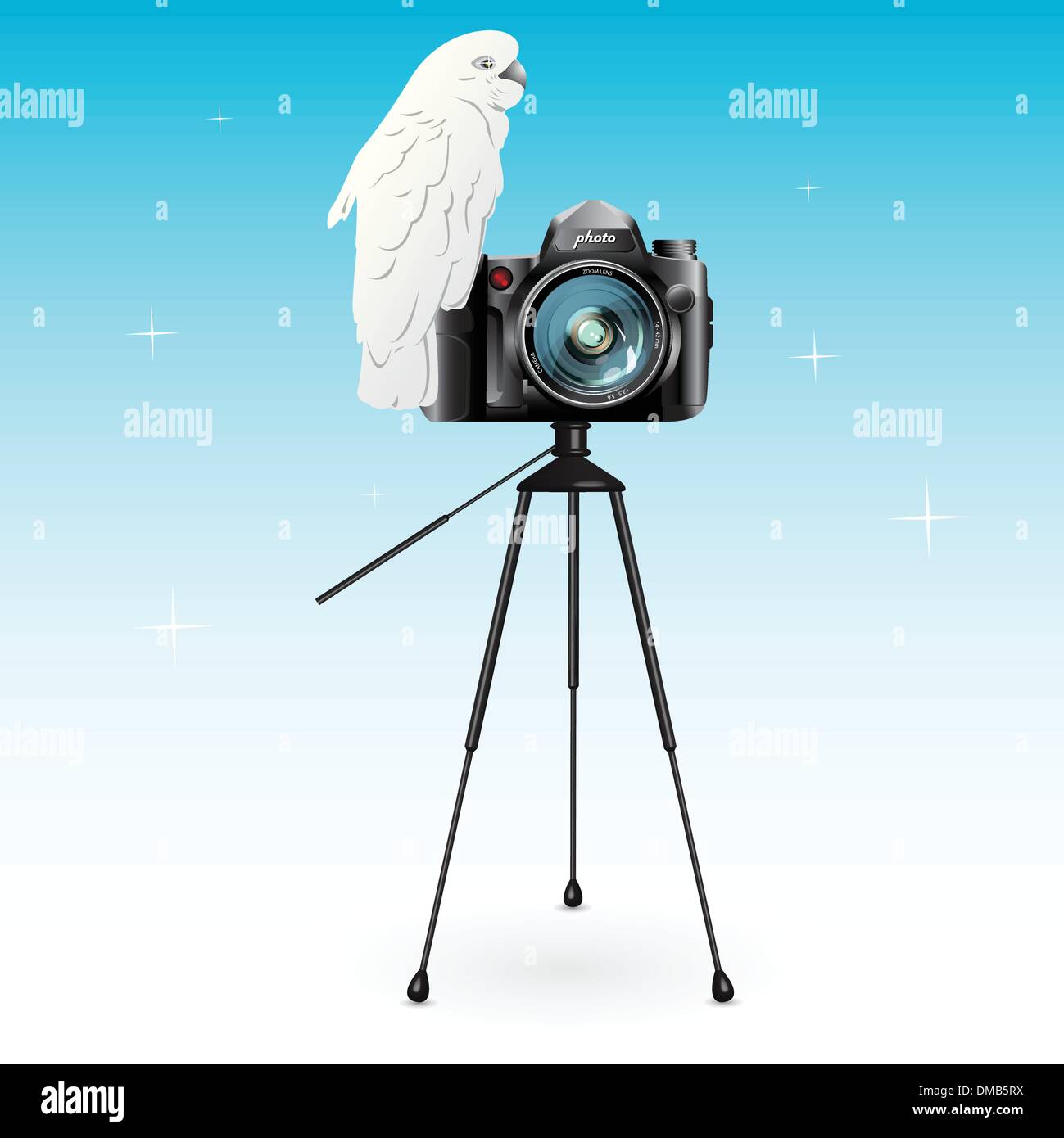 parrot and camera Stock Vector Image & Art - Alamy