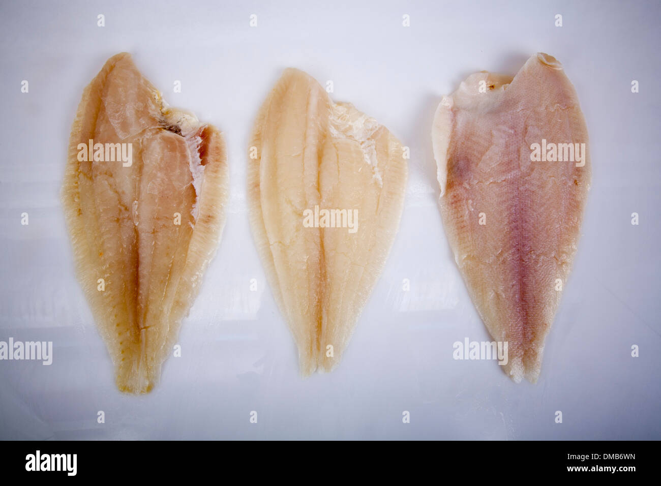 Frozen fish products laid on ice to be showcased for consumption ...