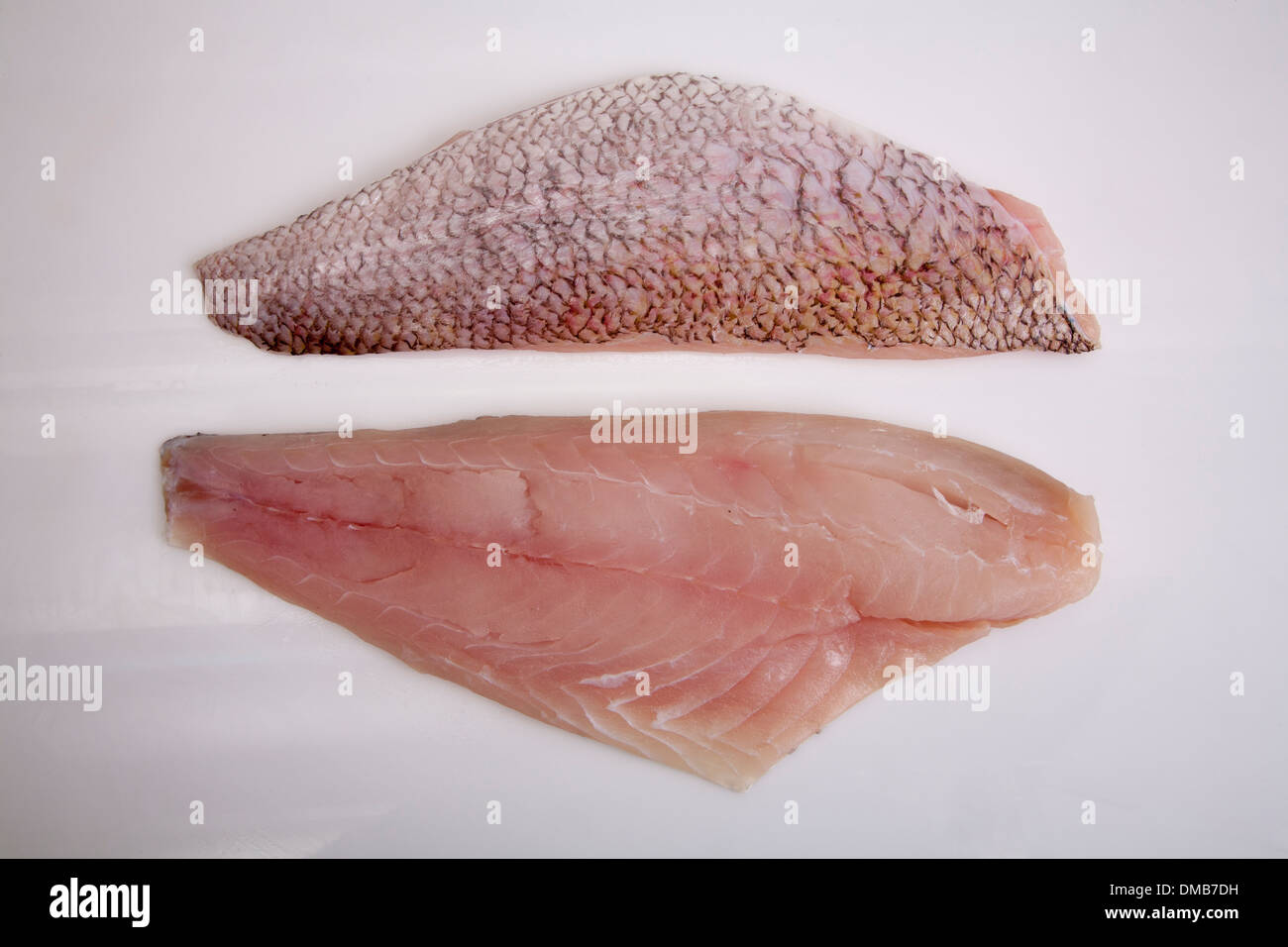 Frozen fish products laid on ice to be showcased for consumption ...