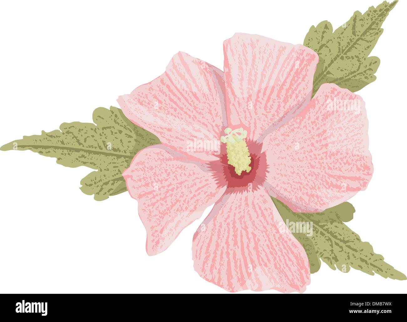 Flower tropical pink Stock Vector Images - Alamy