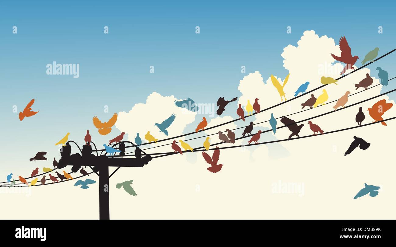 Birds Stock Vector Images - Alamy