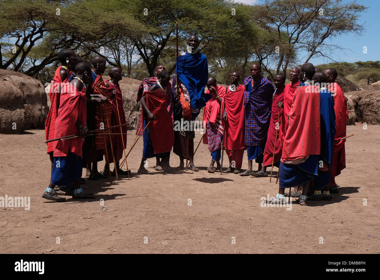 A group of Maasai men taking part in the traditional Adumu dance ...
