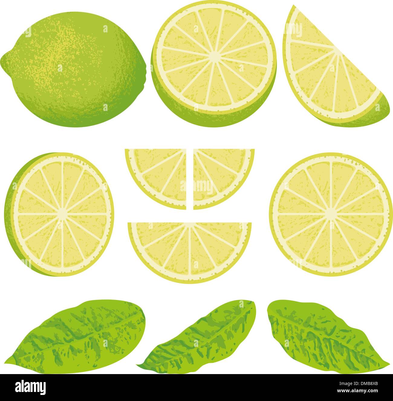 Lime isolated Stock Vector Images - Alamy