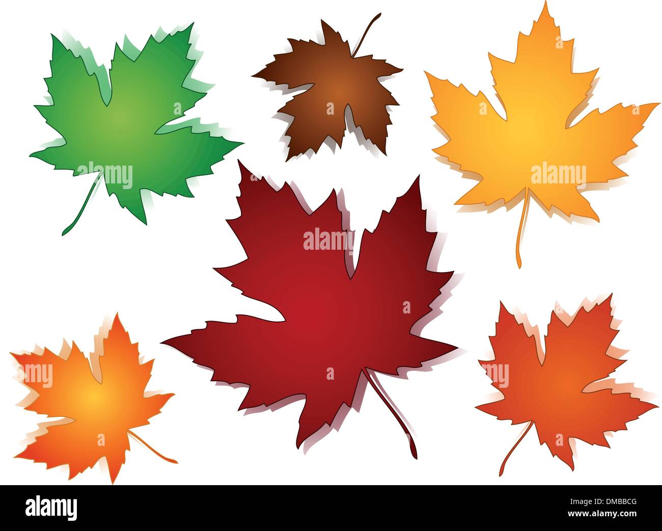 Maple leaf autumn colors Stock Vector Images - Alamy