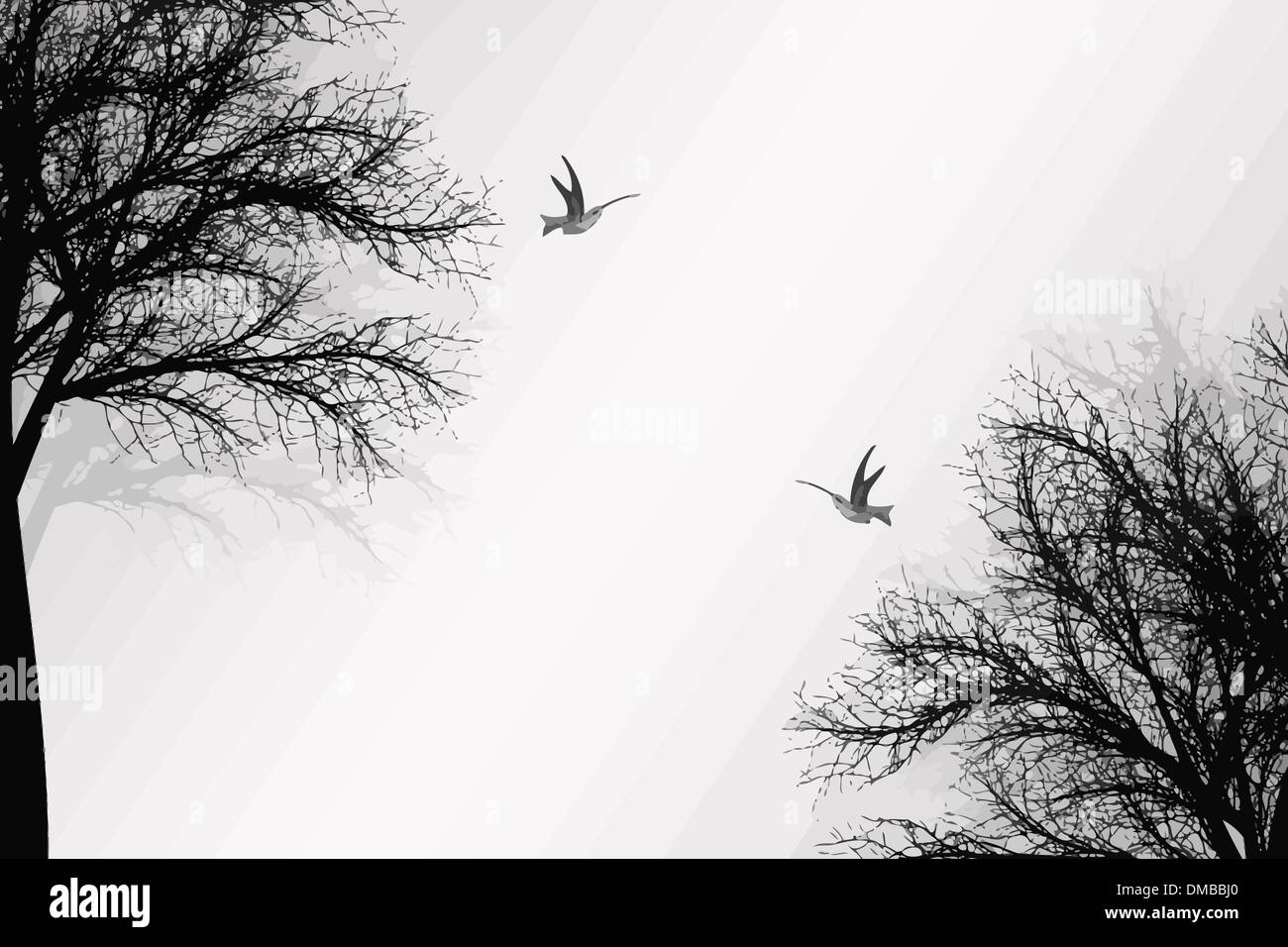 Trees and birds Stock Vector Image & Art - Alamy