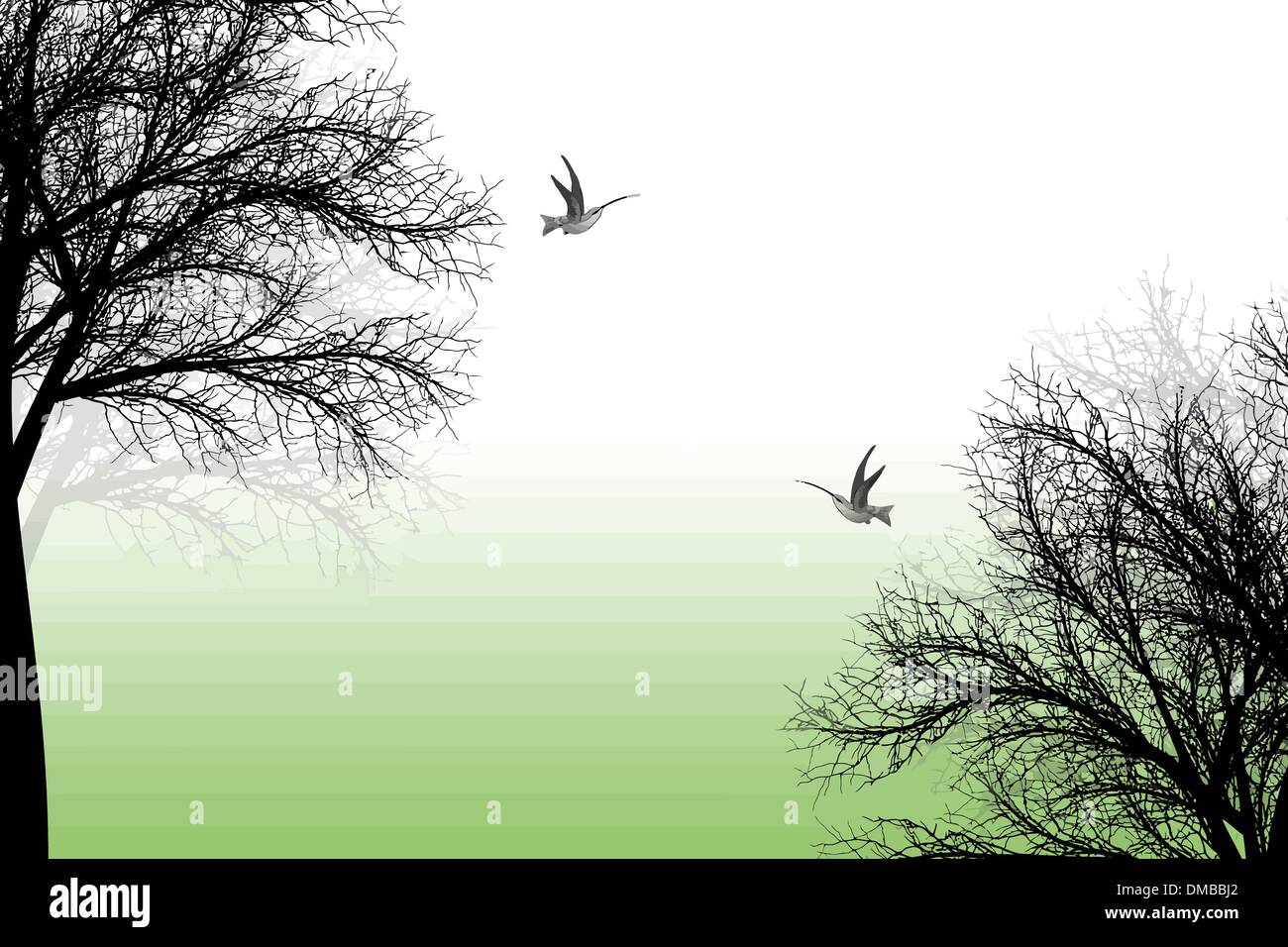 Trees and birds Stock Vector Image & Art - Alamy