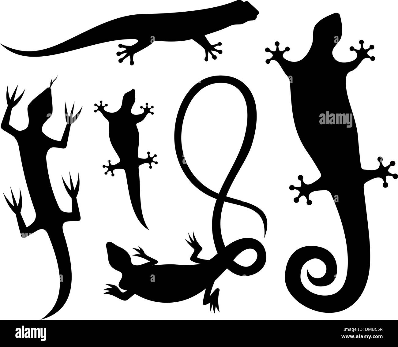 Lizard black silhouette hi-res stock photography and images - Alamy