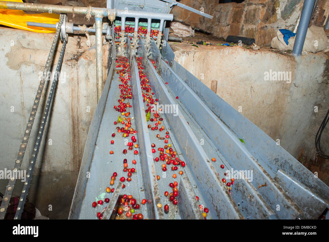 Coffee of Ethiopia, processing Stock Photo - Alamy