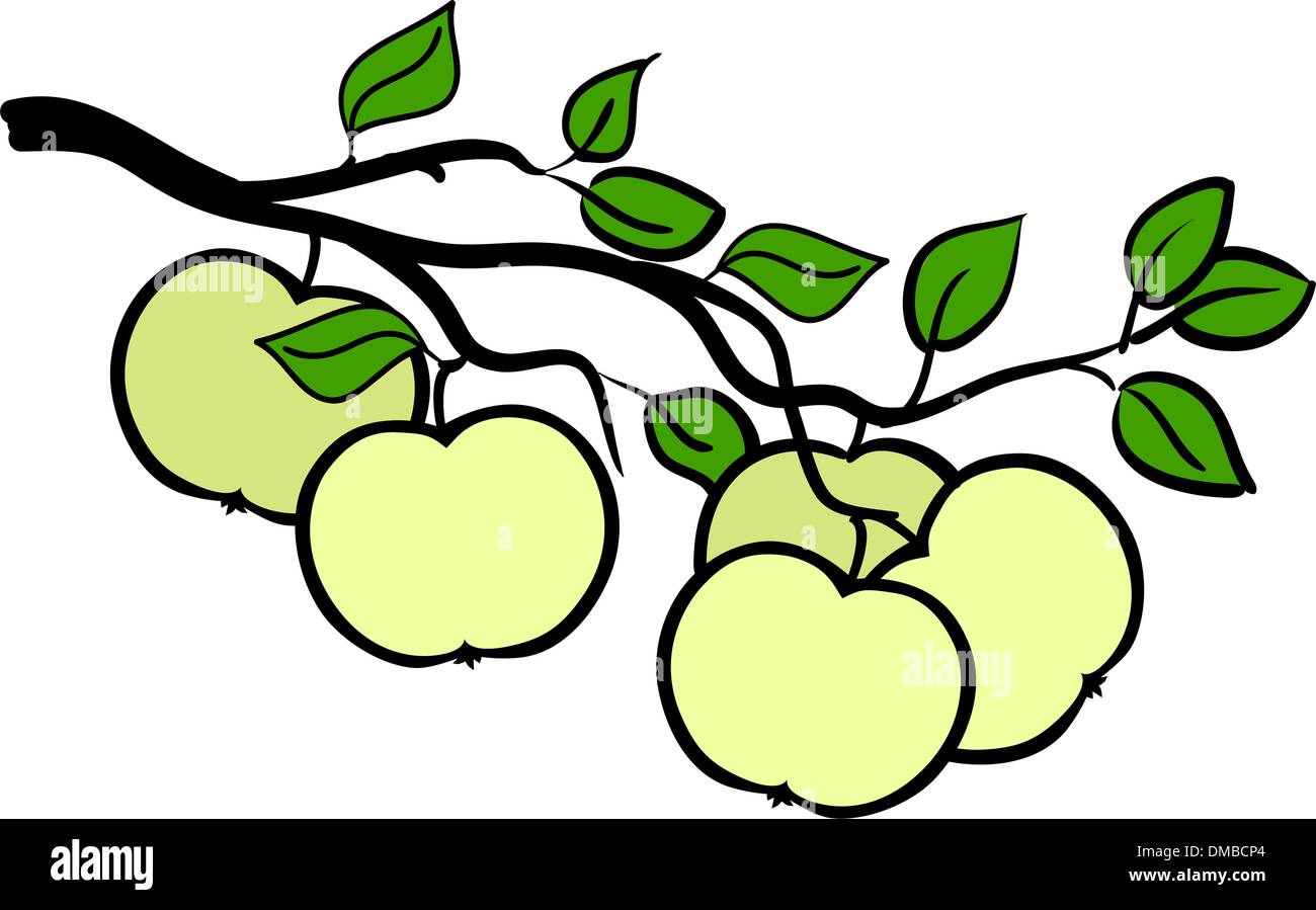 Apple tree limb Stock Vector Images - Alamy