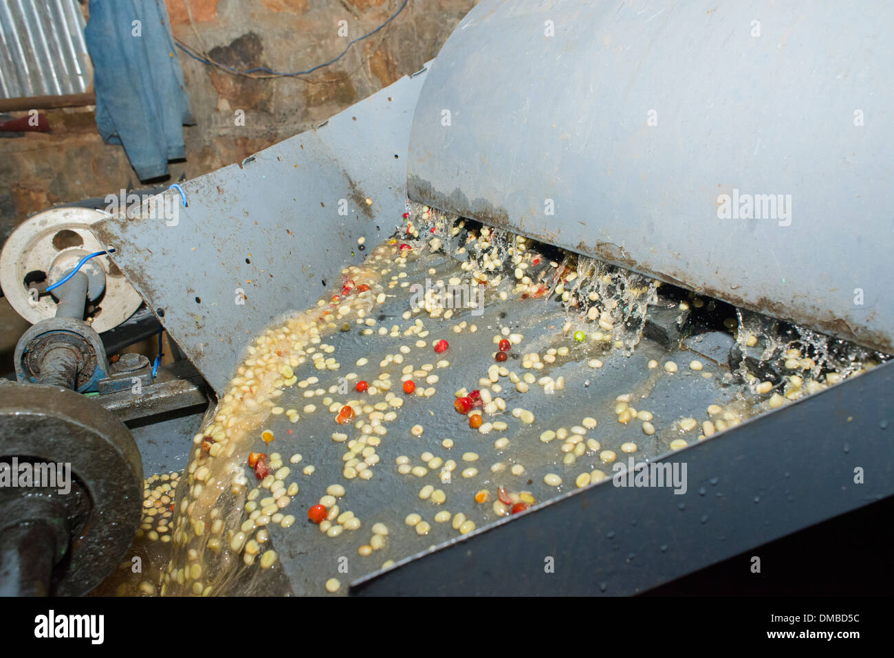 Coffee of Ethiopia, processing Stock Photo - Alamy