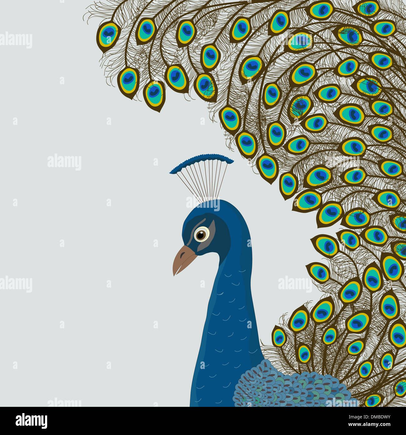 Peacock tail painting hi-res stock photography and images - Alamy