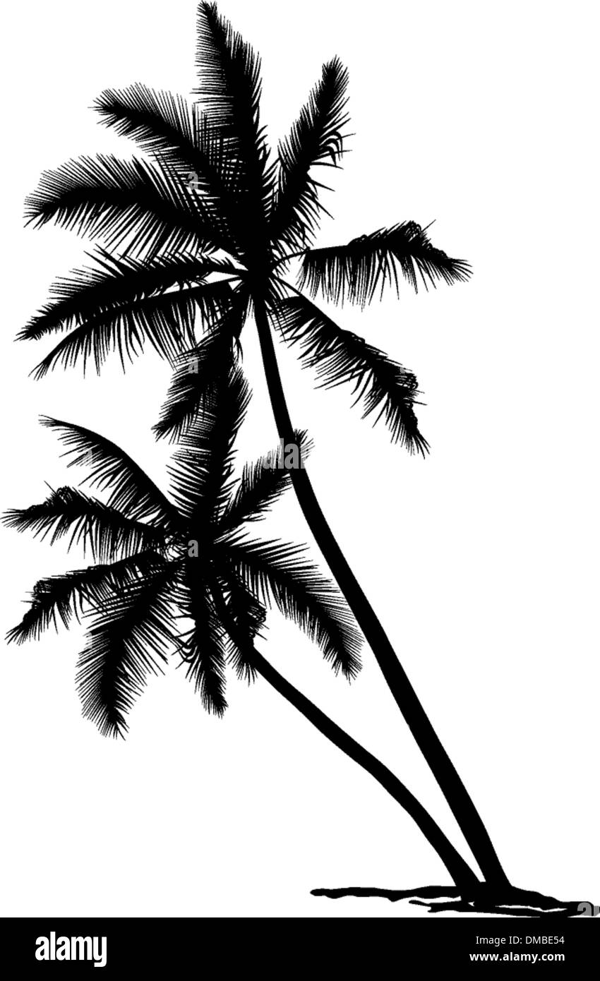 Branching palm Stock Vector Images - Alamy