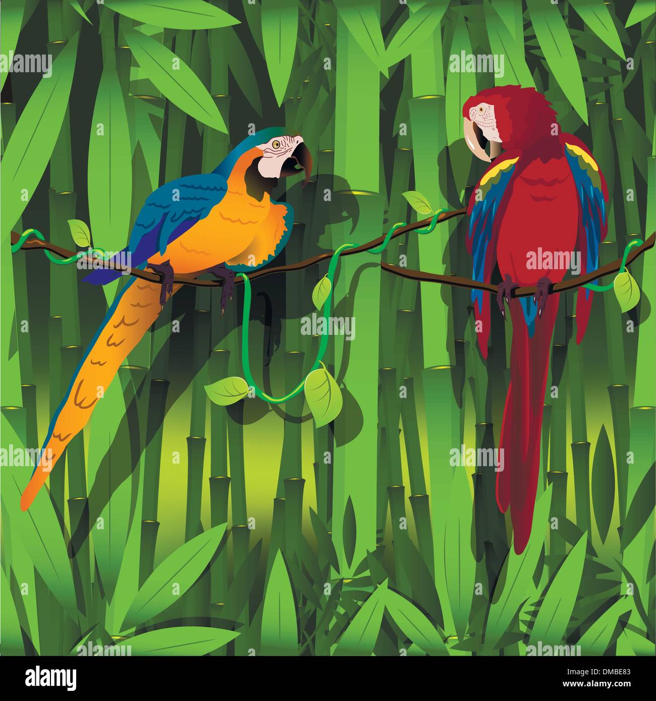 Parrot eyes Stock Vector Images - Alamy