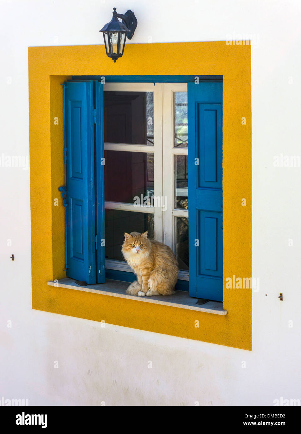 Cat sat on window ledge hi-res stock photography and images - Alamy