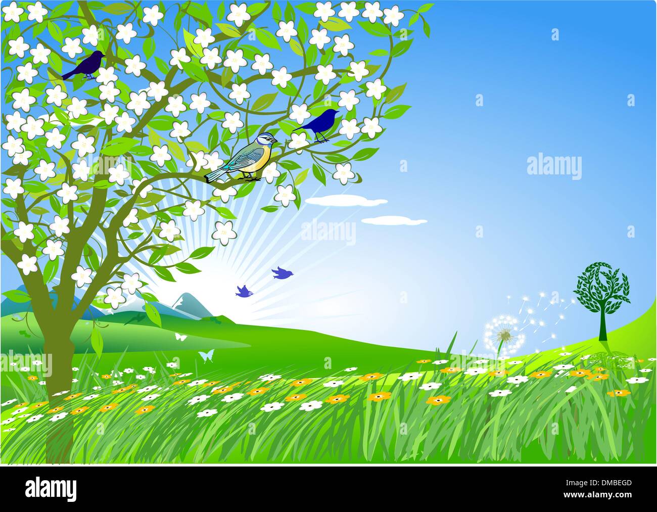 Dandelion in meadow spring Stock Vector Images - Alamy