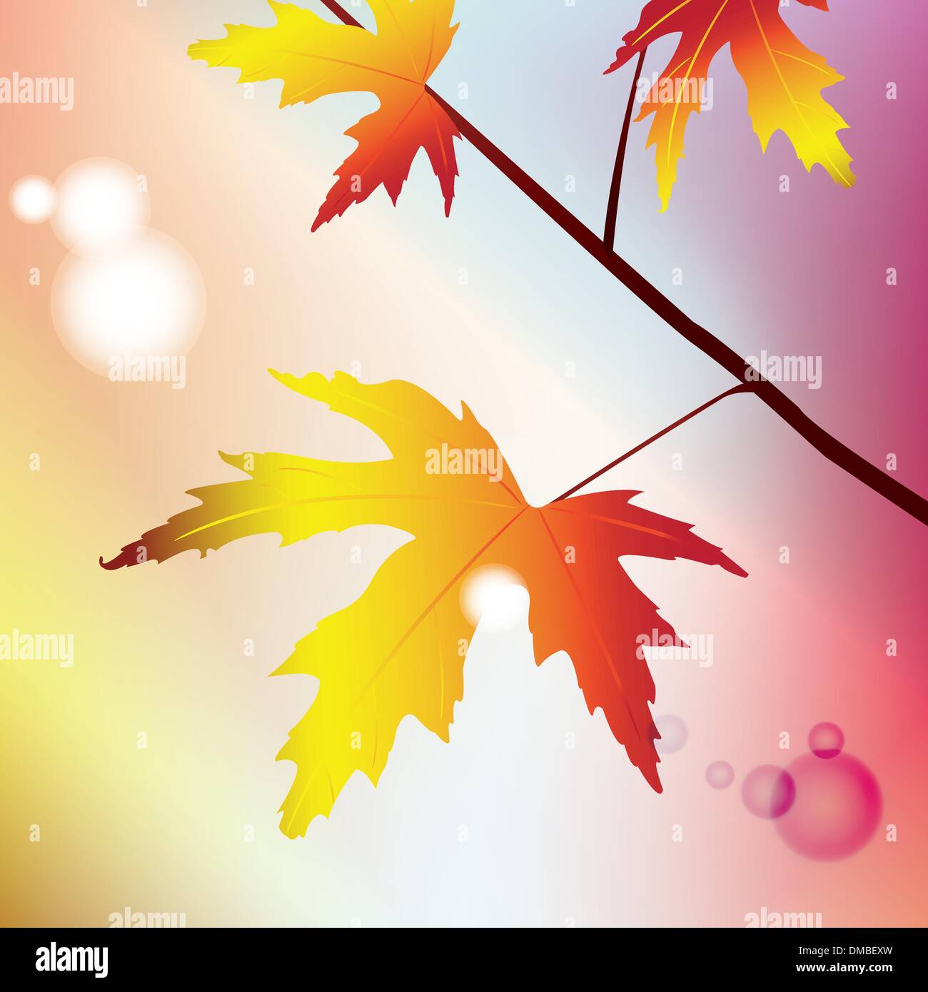 Color maple branch Stock Vector Images - Alamy