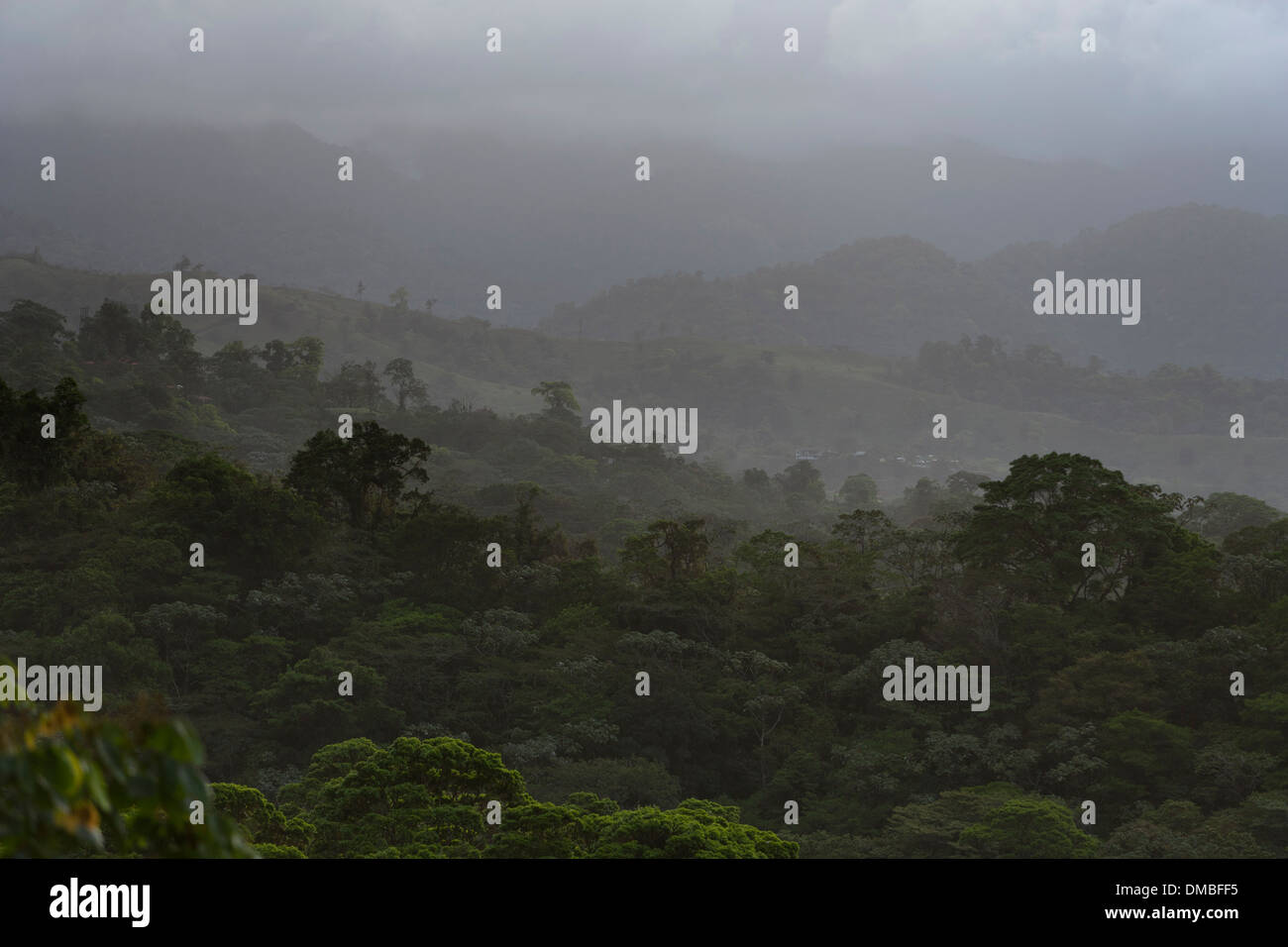 rain falling in a Costa Rican rain forest near lake Arenal Stock Photo ...