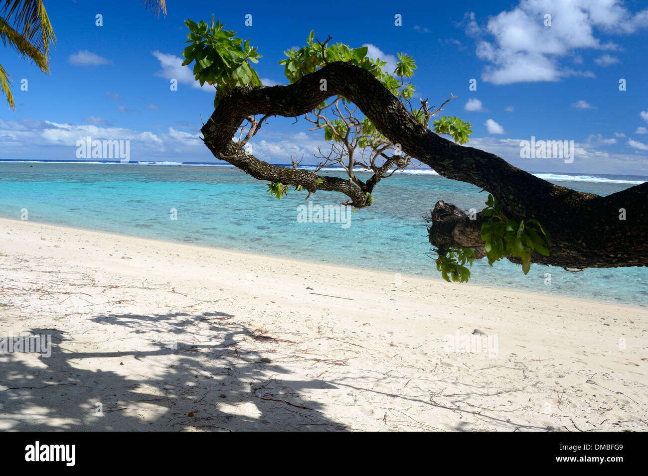 The gorgeous turquoise sea and desert beach in Rarotonga, Cook Islands ...