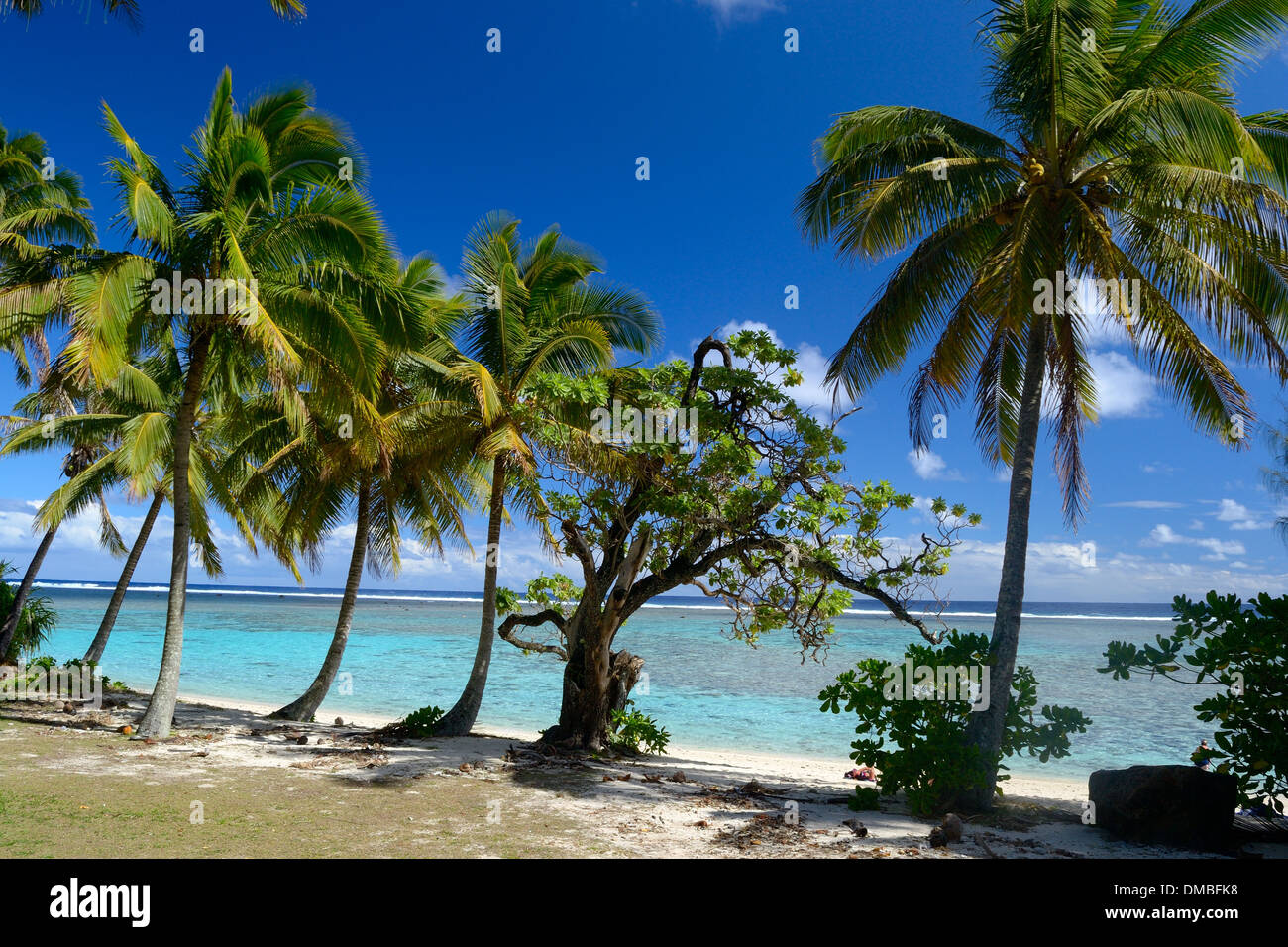 The gorgeous turquoise sea and desert beach in Rarotonga, Cook Islands ...