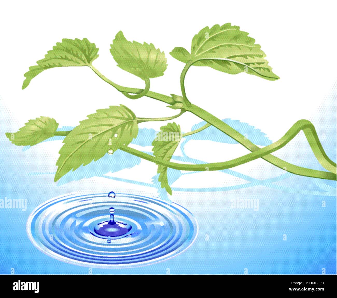 plant and drop of water Stock Vector Image & Art - Alamy