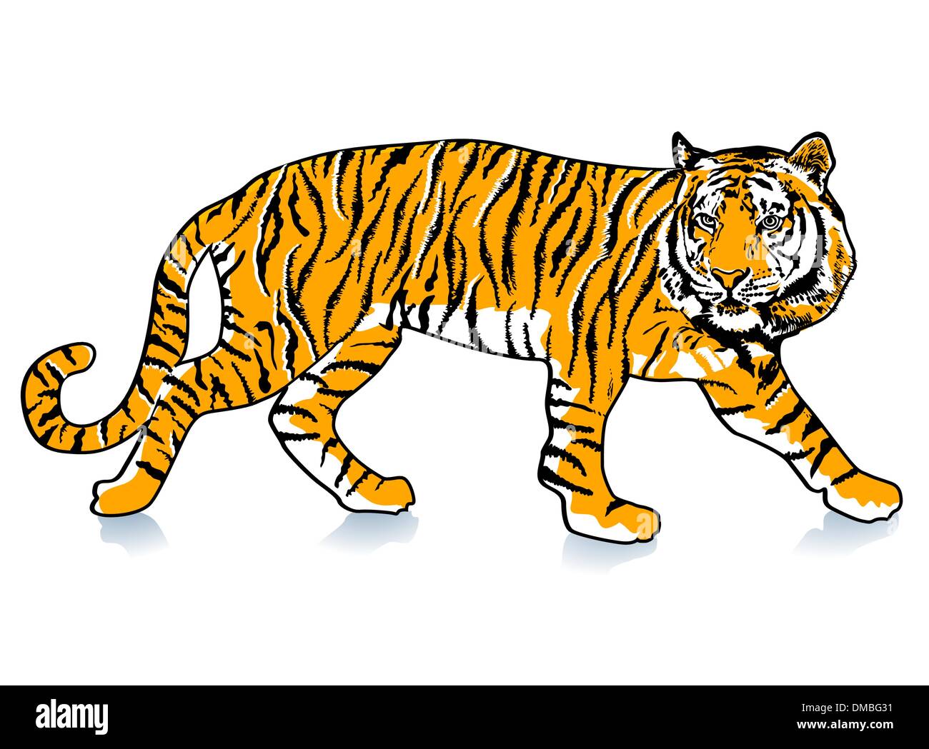 Sneak cat Cut Out Stock Images & Pictures - Alamy