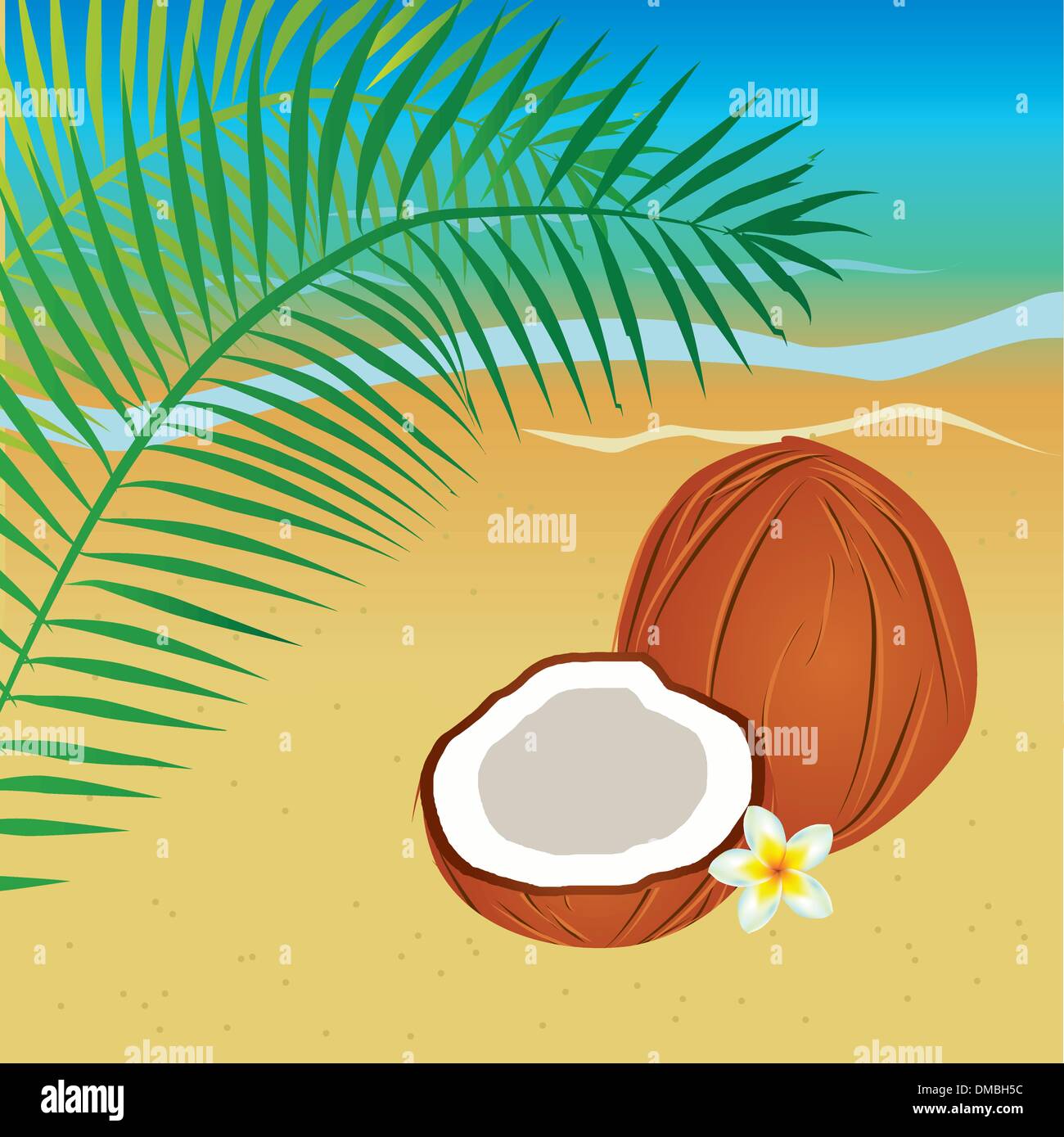 Sand coconut Stock Vector Images - Alamy
