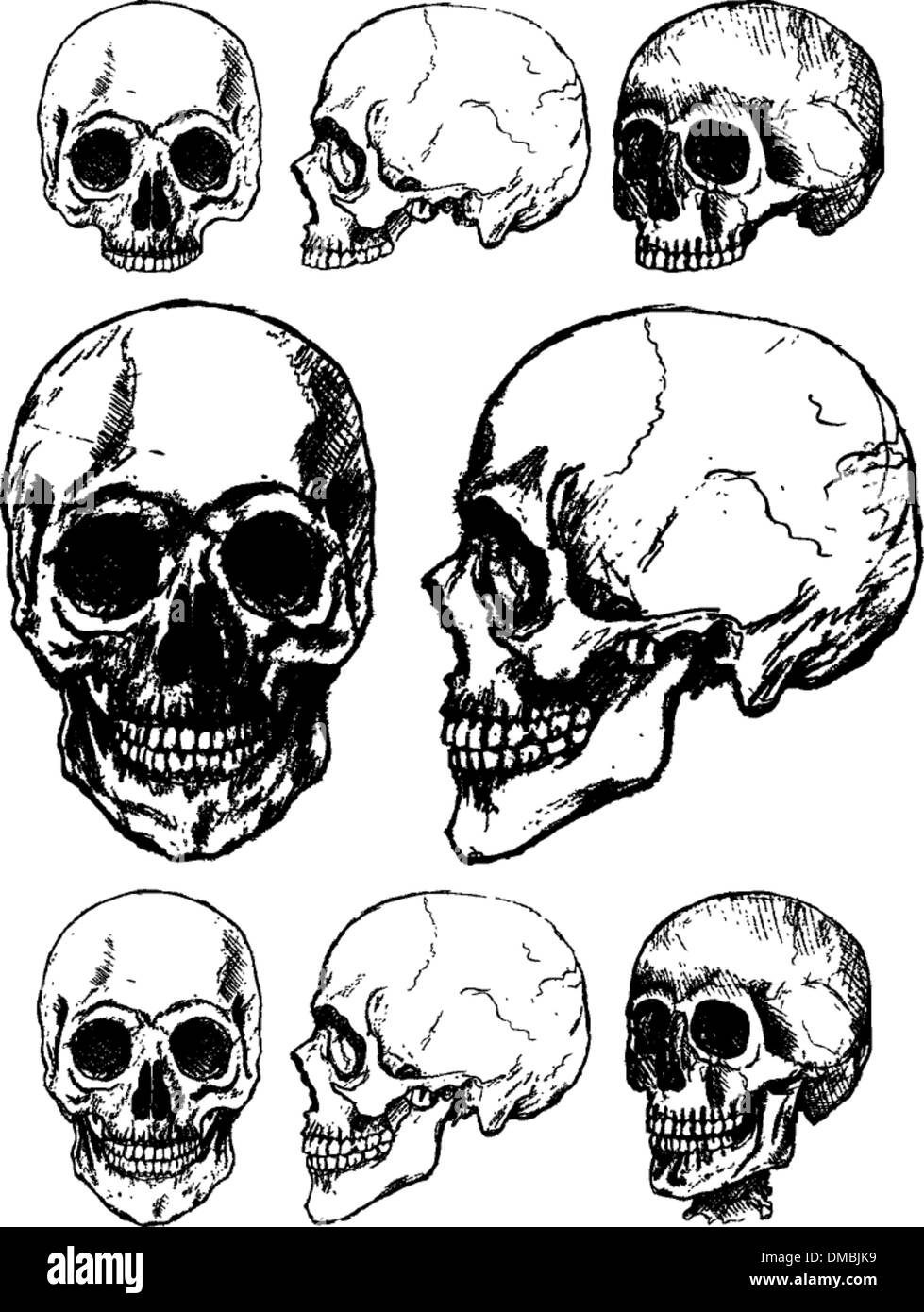 Grave skull Black and White Stock Photos & Images - Alamy