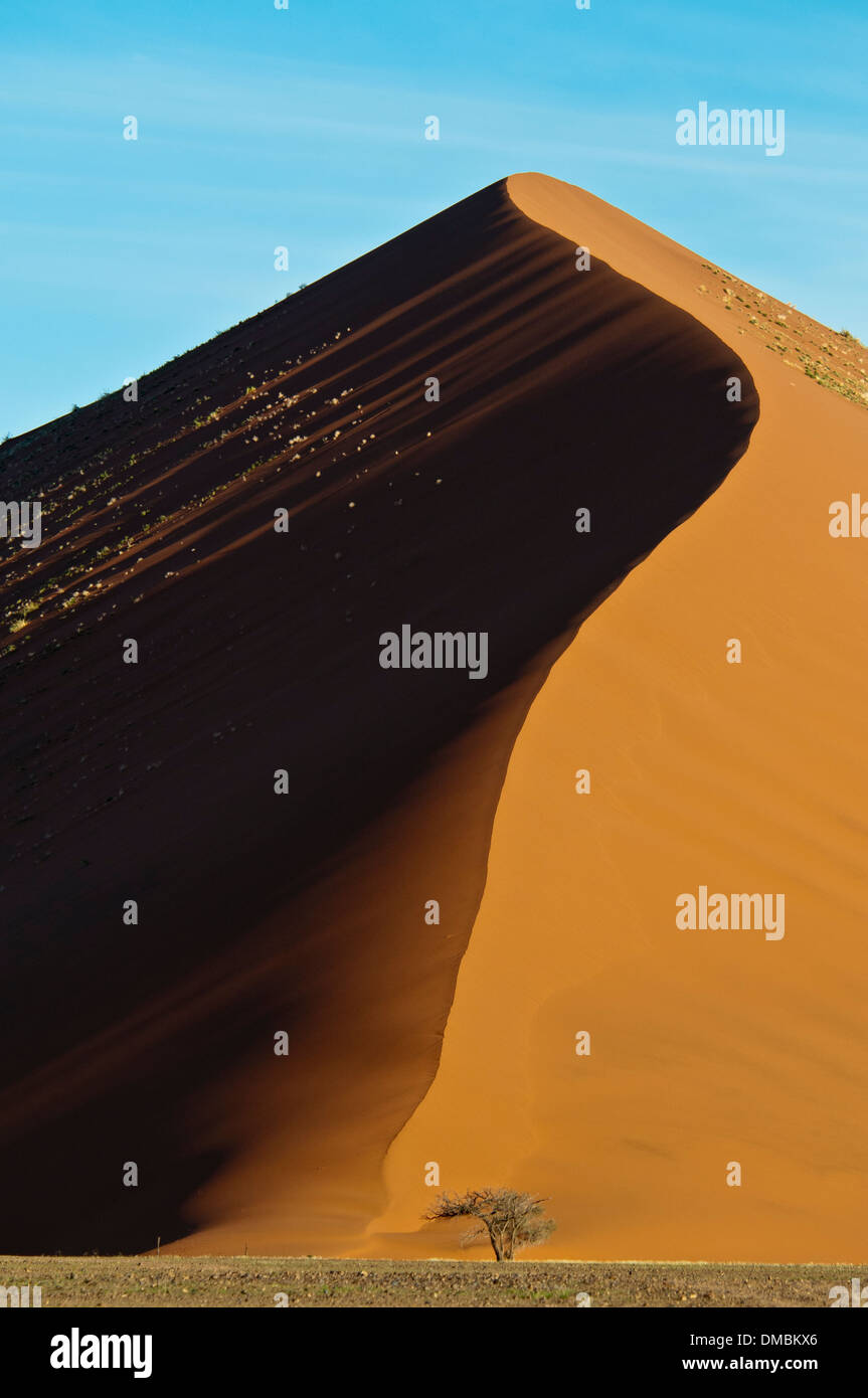 Sossusvlei red dune namibia hi-res stock photography and images - Alamy