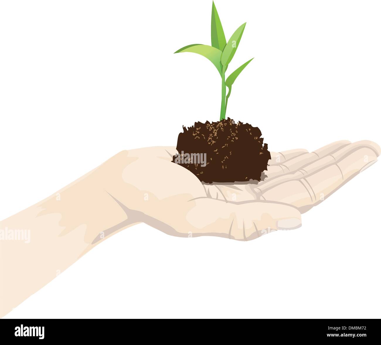 Palm seed Stock Vector Images - Alamy