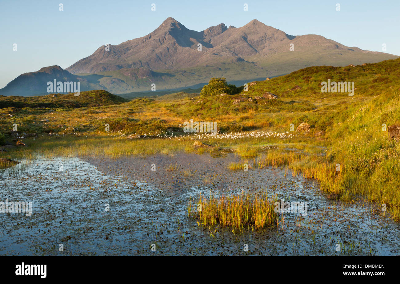 Red cuillin mountains hi-res stock photography and images - Alamy