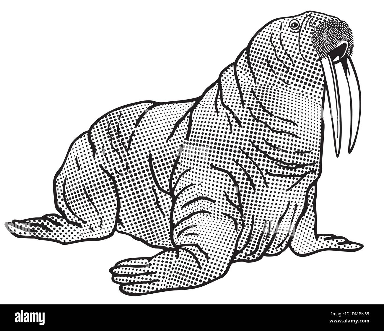 Antarctic wildlife Stock Vector Images - Alamy