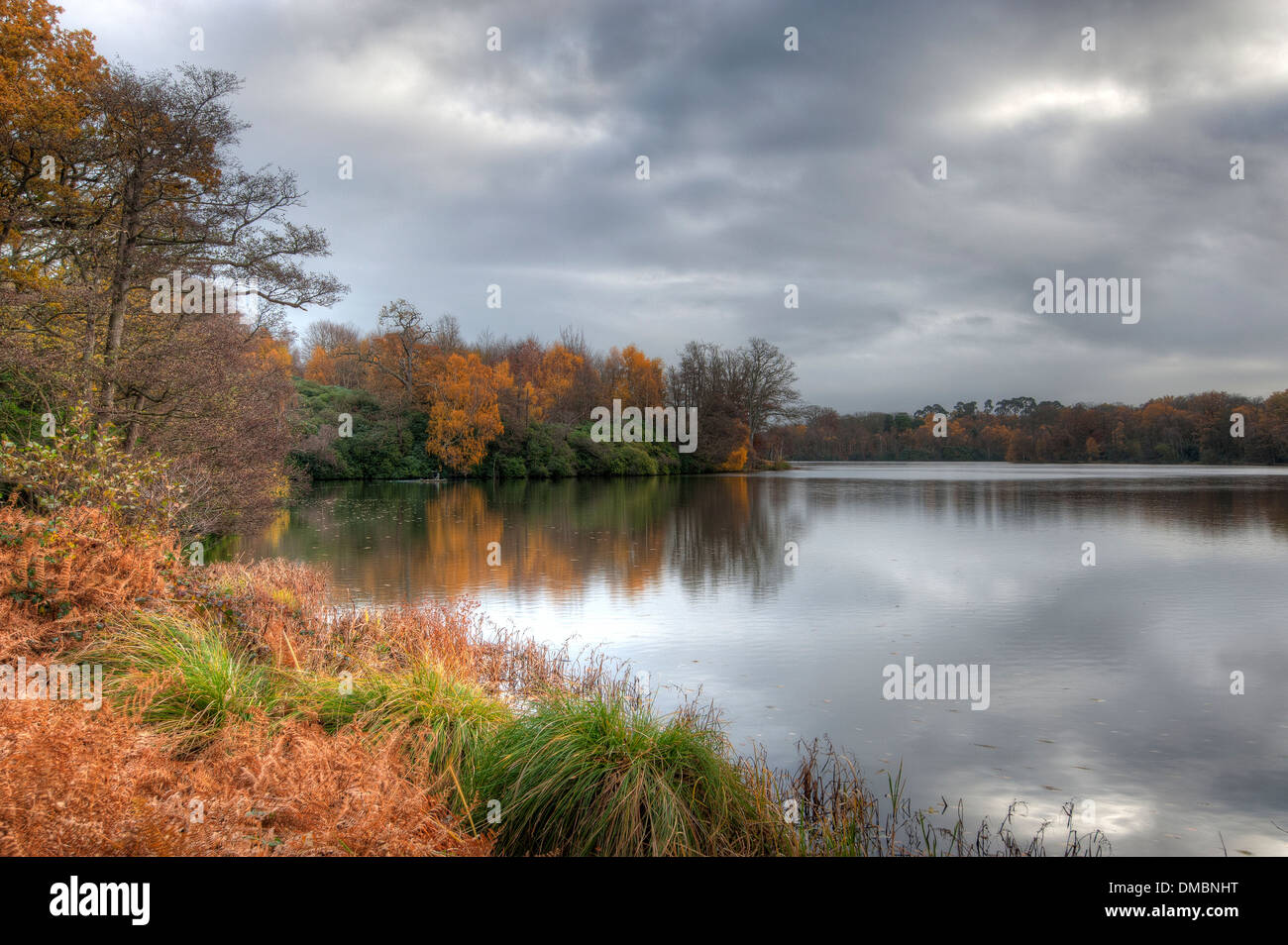 Lakeside views hi-res stock photography and images - Alamy