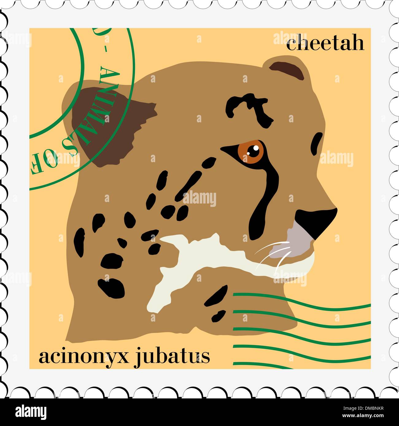 stamp with image of cheetah Stock Vector Image & Art - Alamy