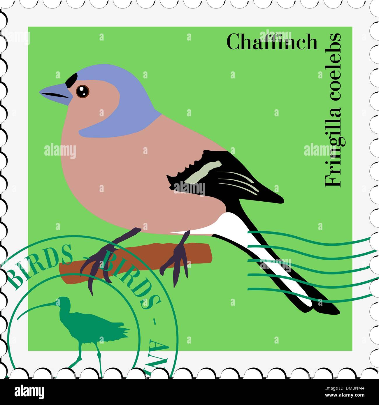 Image of bird Stock Vector Images - Alamy