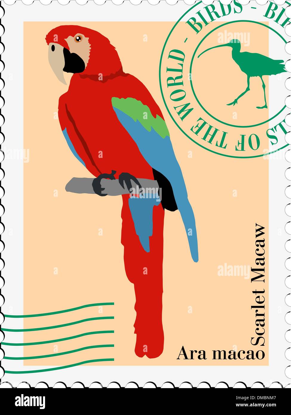 illustration postage stamp with image of parrot Stock Vector Image ...