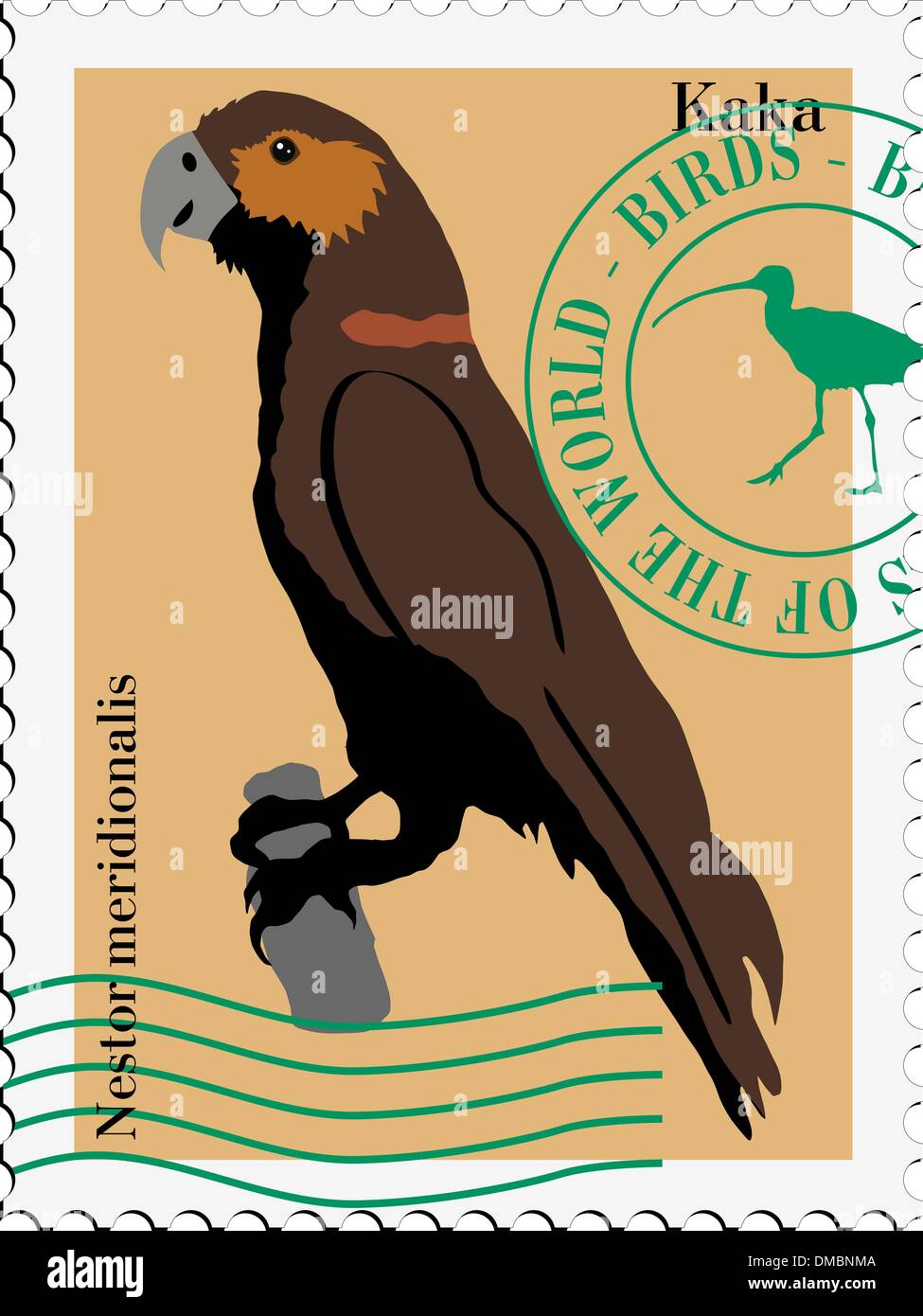 illustration postage stamp with image of parrot Stock Vector Image ...