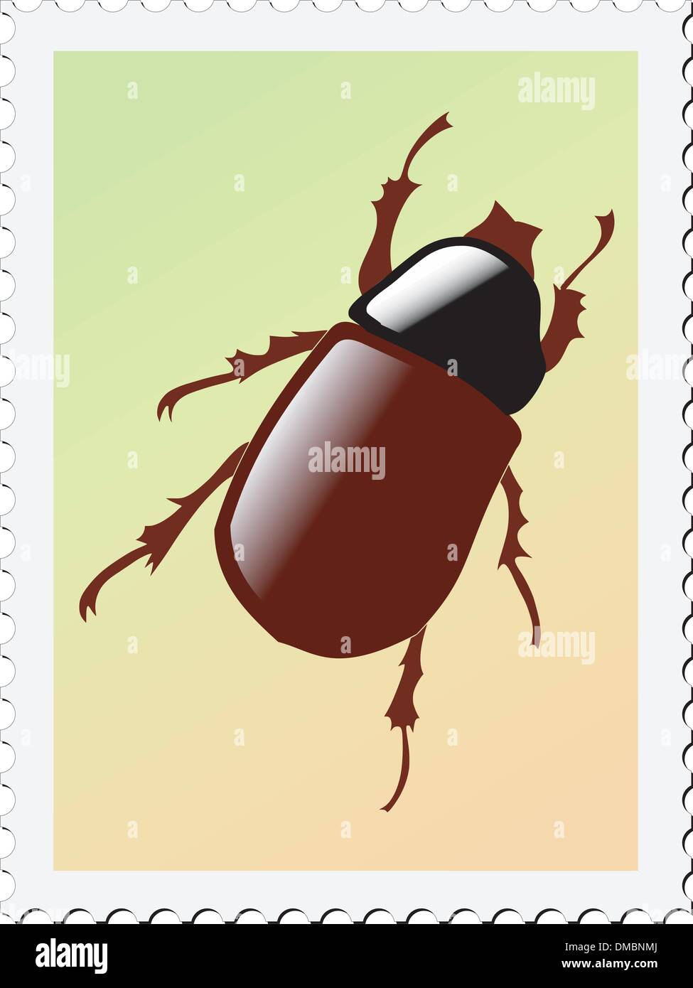 Vector stamp beetle hi-res stock photography and images - Alamy