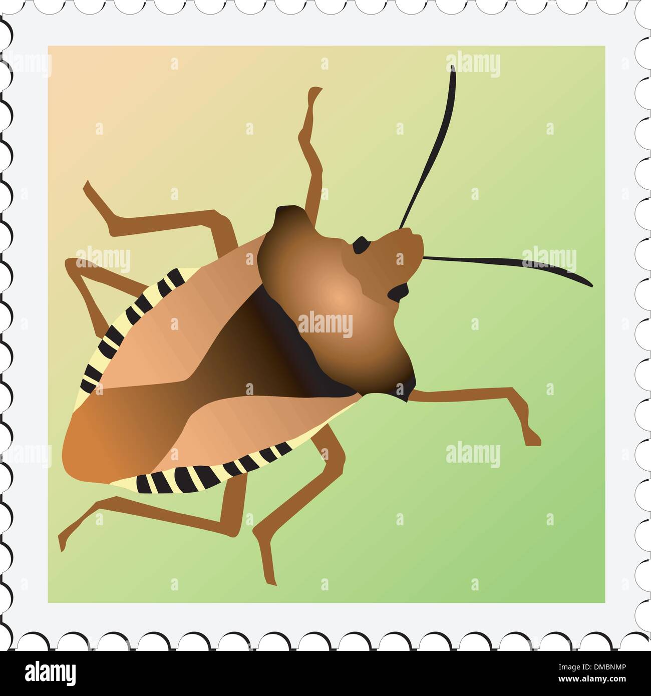 Beetle border Stock Vector Images - Alamy