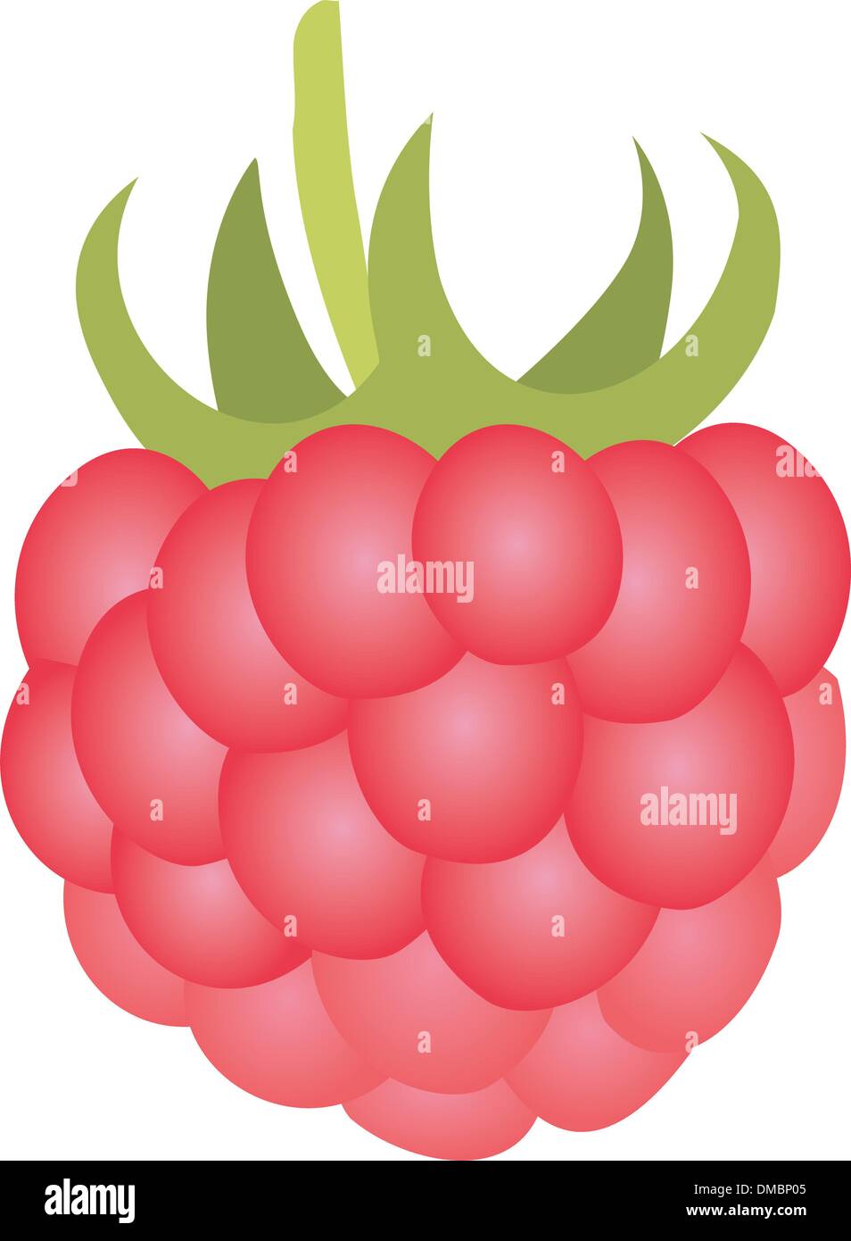 Red raspberry macro Stock Vector Images - Alamy