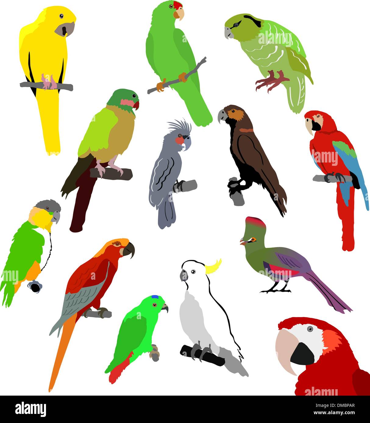 Set color cartoon different Stock Vector Images - Alamy