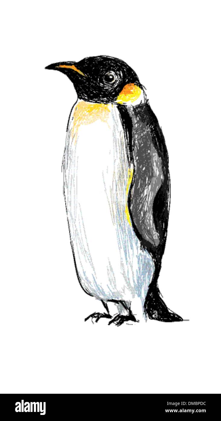 Penguin Hand Drawn Stock Vector Image & Art - Alamy