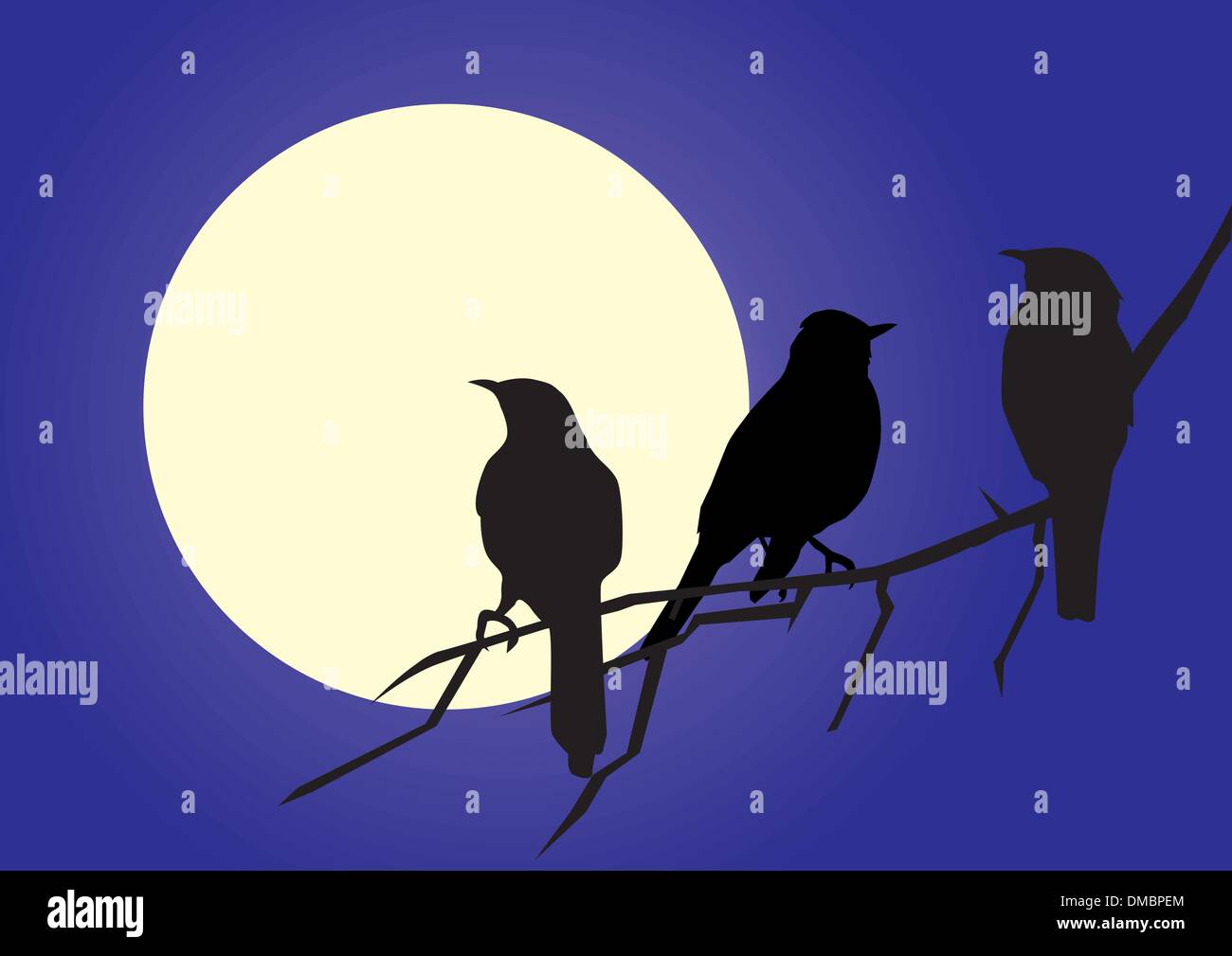 Bird fly view Stock Vector Images - Alamy