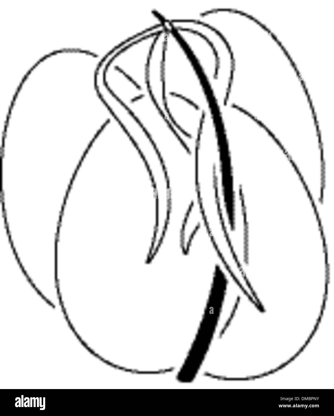 Happy easter postcard bunny Black and White Stock Photos & Images - Alamy