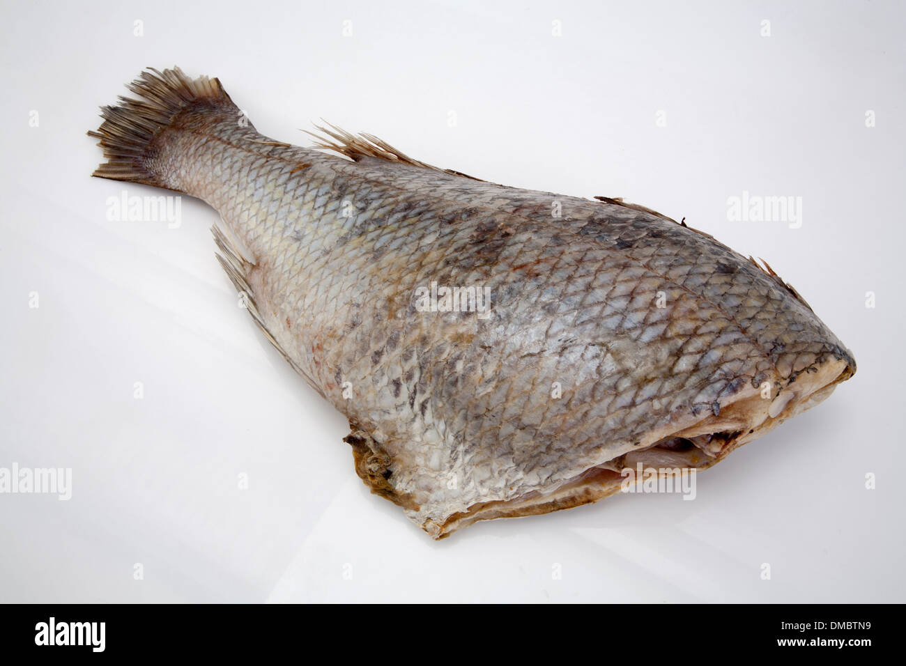 Frozen fish products laid on ice to be showcased for consumption ...
