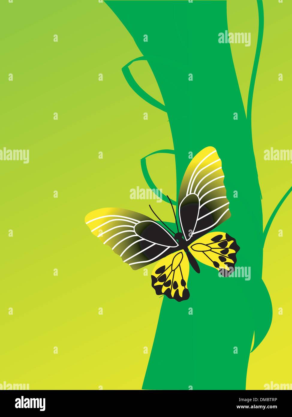 abstract composition with butterfly Stock Vector Image & Art - Alamy