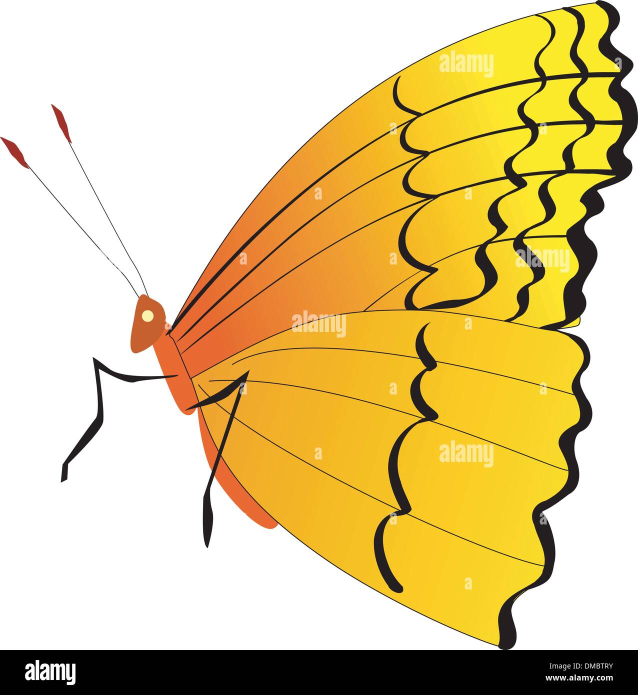 Butterfly paint Stock Vector Images - Alamy